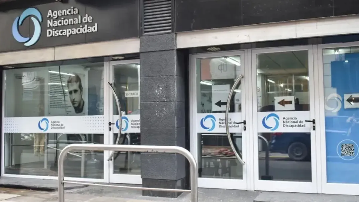 Causa ANDIS: Ariel Lijo ordenó peritar los audios de Diego Spagnuolo y ...
