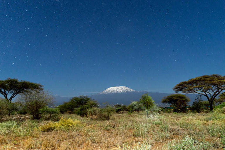 Mount Kilimanjaro lost 75% of its plant species over last 100 years