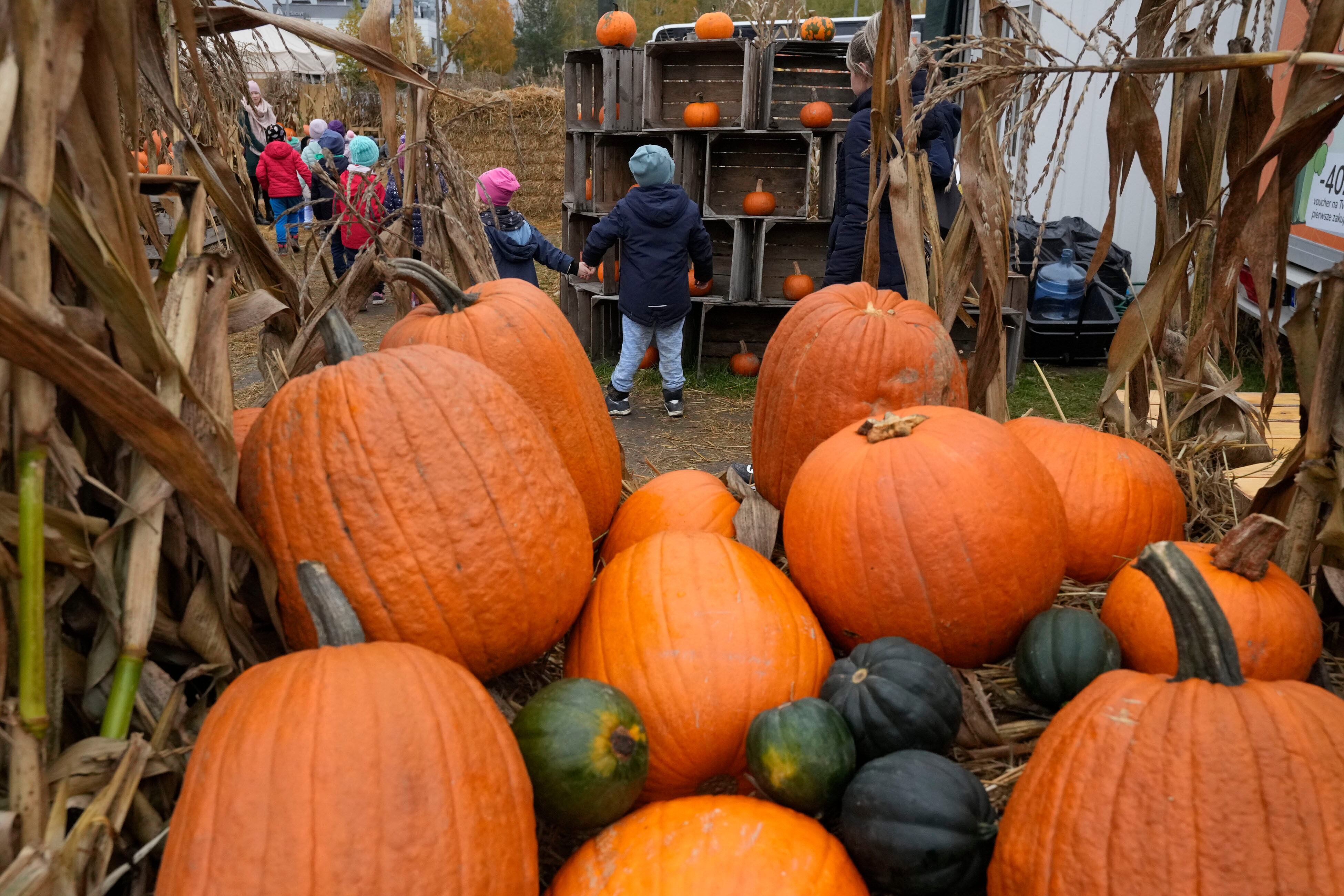 Bowling Green, Warren County host ‘The Great Pumpkin Drop’