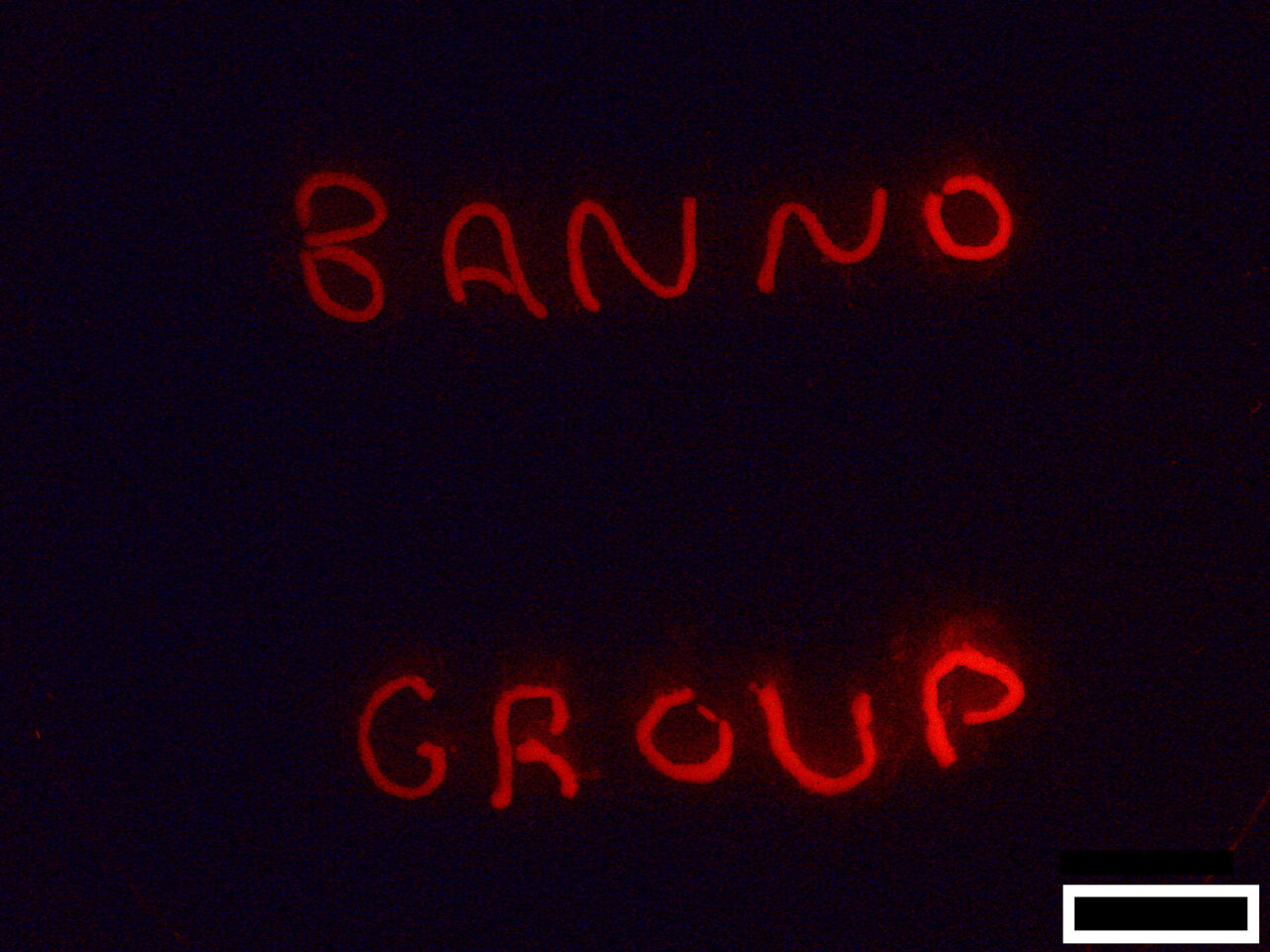 Supramolecular robotics enables soft materials to move, adapt and self ...