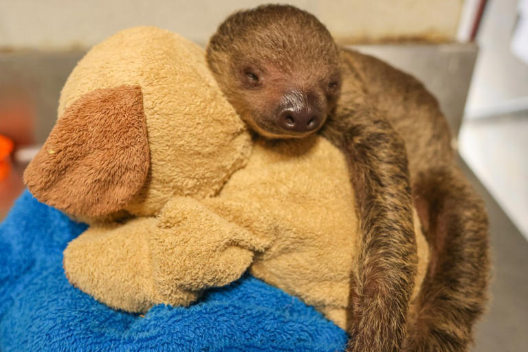 You’re going to need a bigger enclosure: Roger Williams Park Zoo names ...