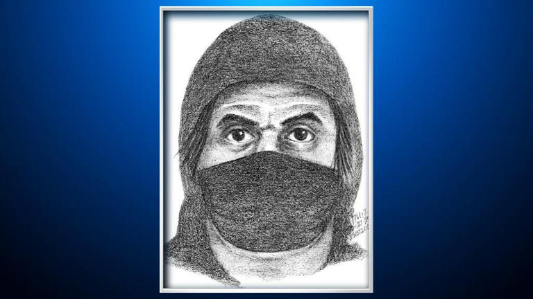 Union City police release suspect sketch following attempted kidnapping ...