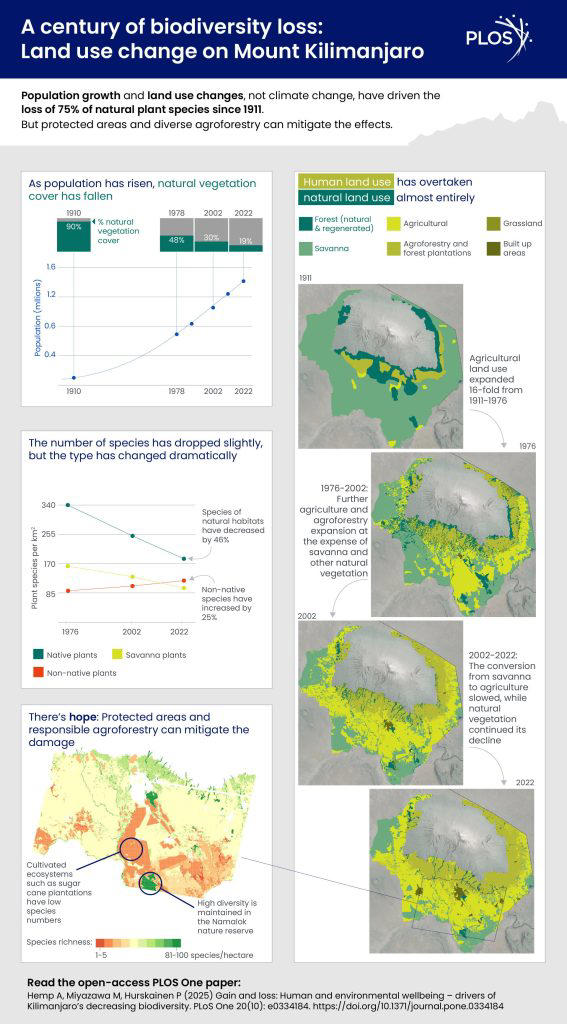 Mount Kilimanjaro lost 75% of its plant species over last 100 years