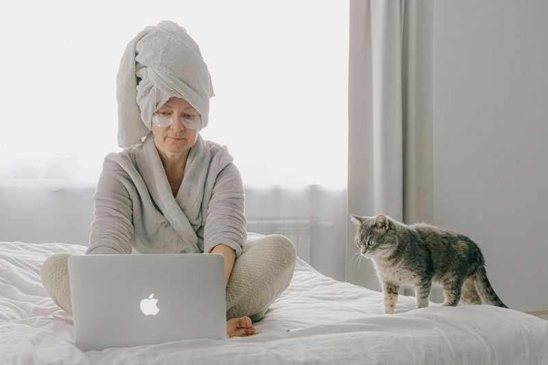 7 Signs Your Cat Thinks You’re His Servant And He’s The Real Boss