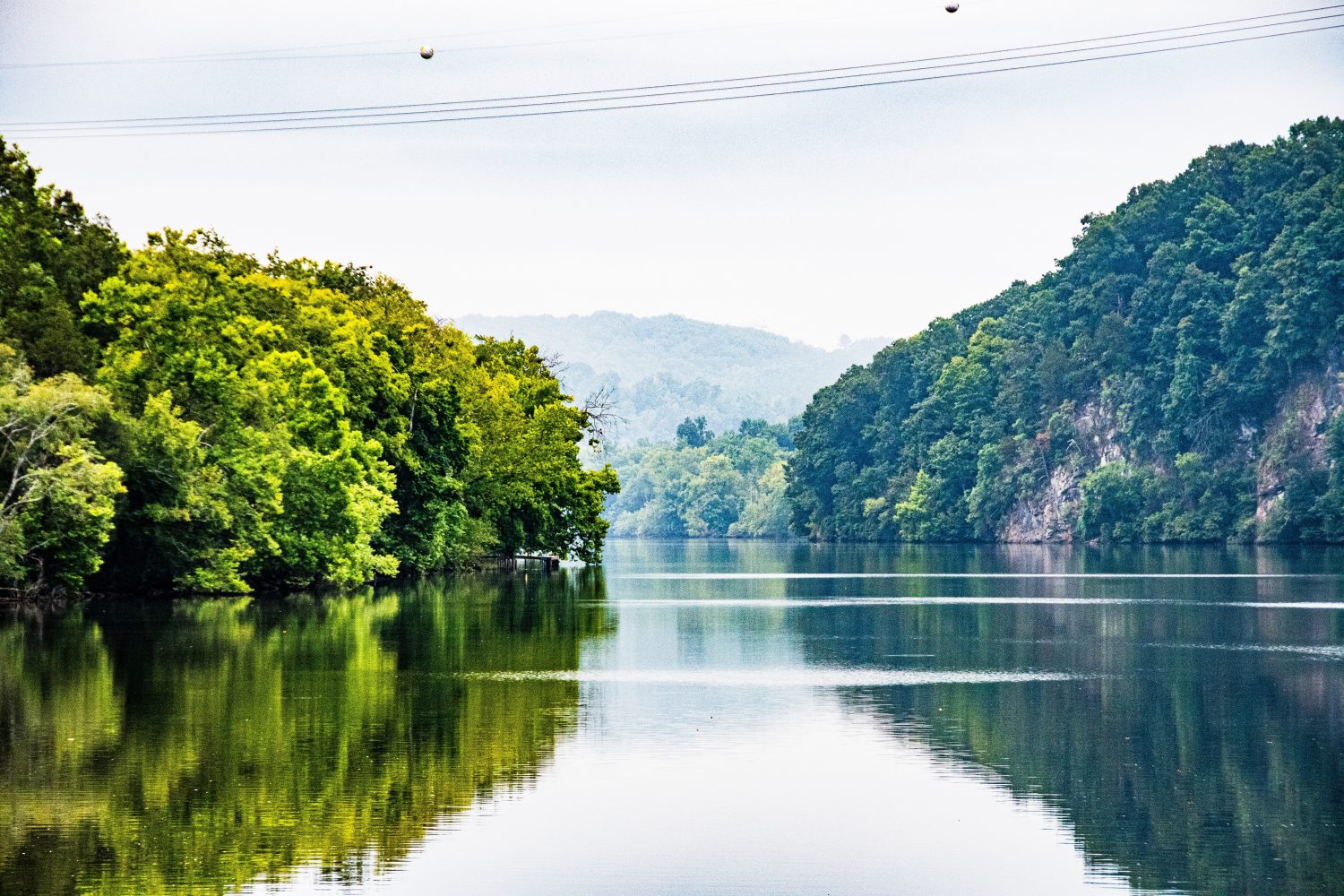 All of the Fish and Freshwater Creatures You’ll Find in the Tennessee River