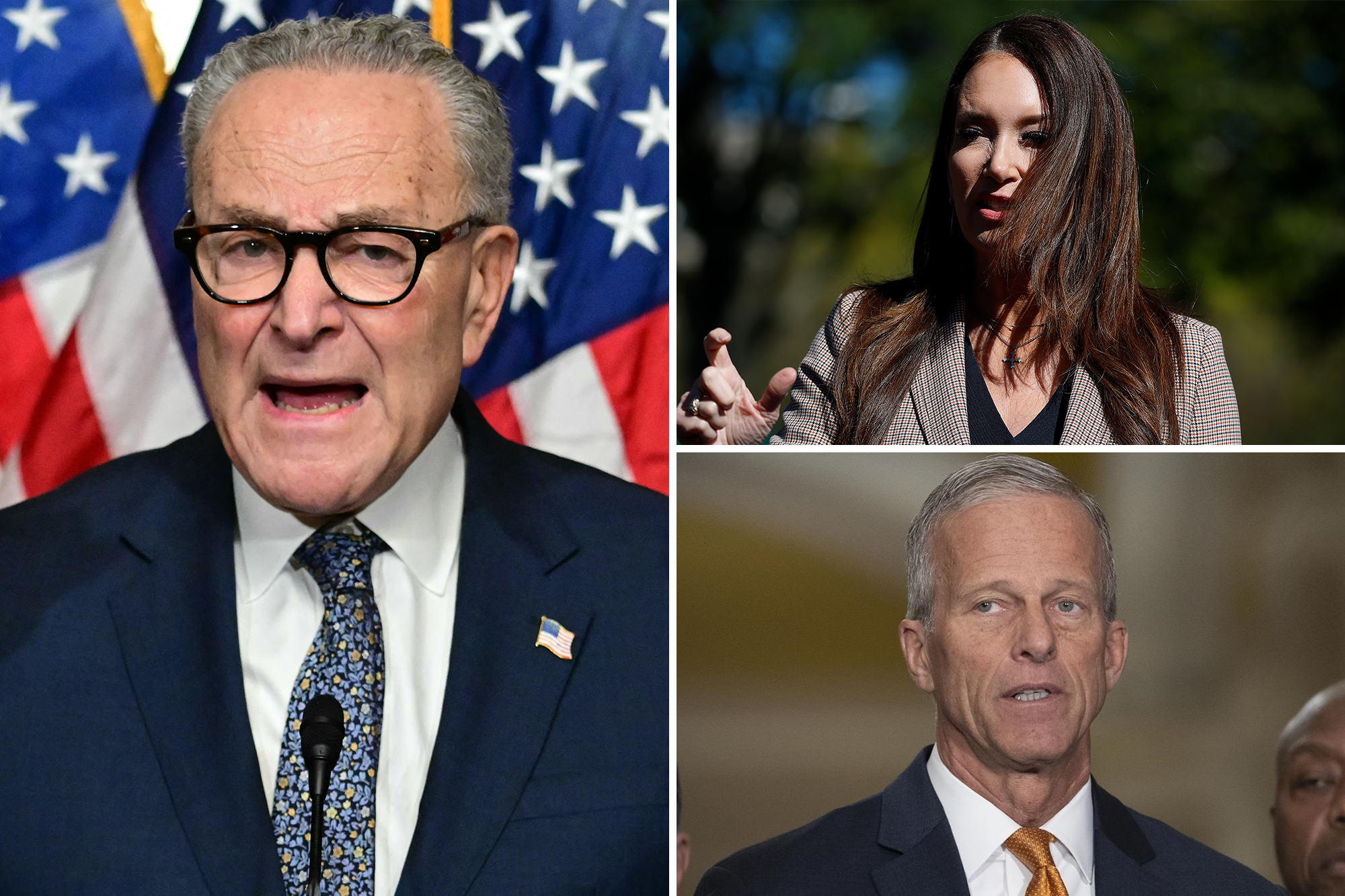 Chuck Schumer demands GOPers put food stamps-only bill to vote instead ...