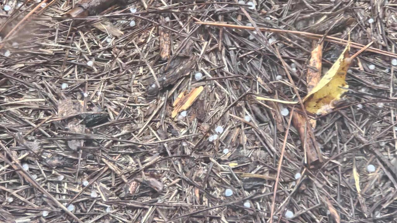 Graupel falls in Buchanan despite warm surface temperatures