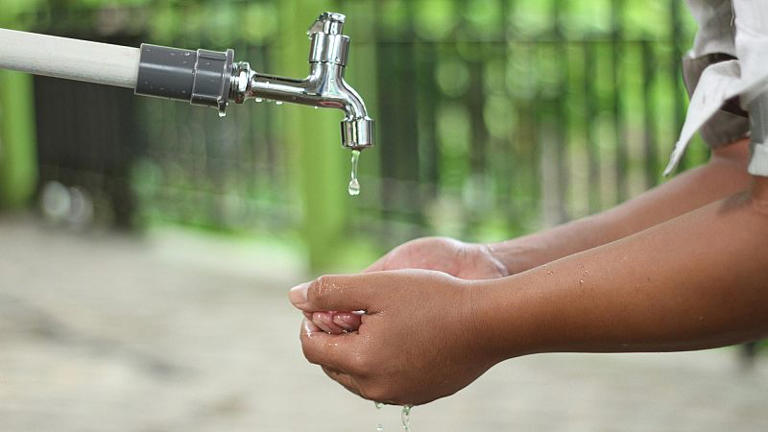 Mariners Could Turn To Former MVP If Josh Naylor Signs Elsewhere, Per ...