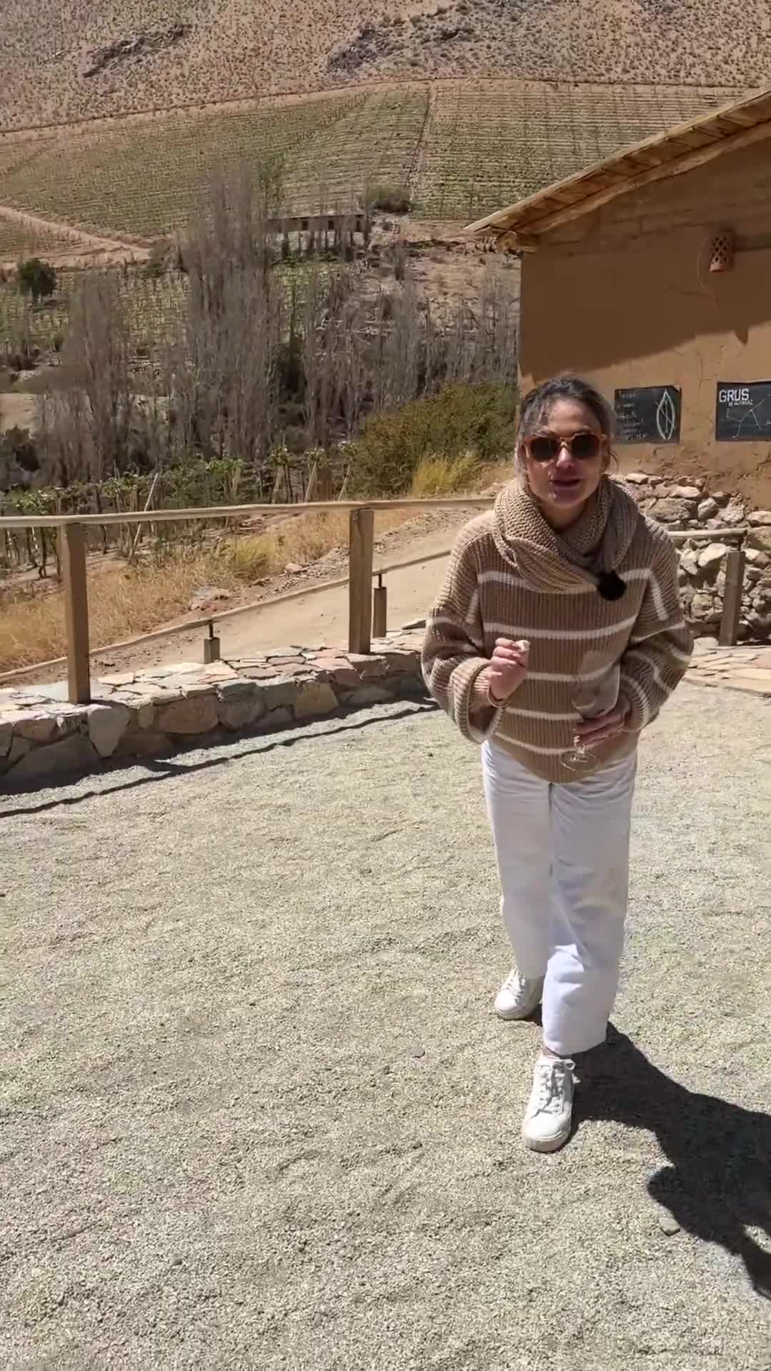 Subi 1.800 metros para provar um vinho no Chile!