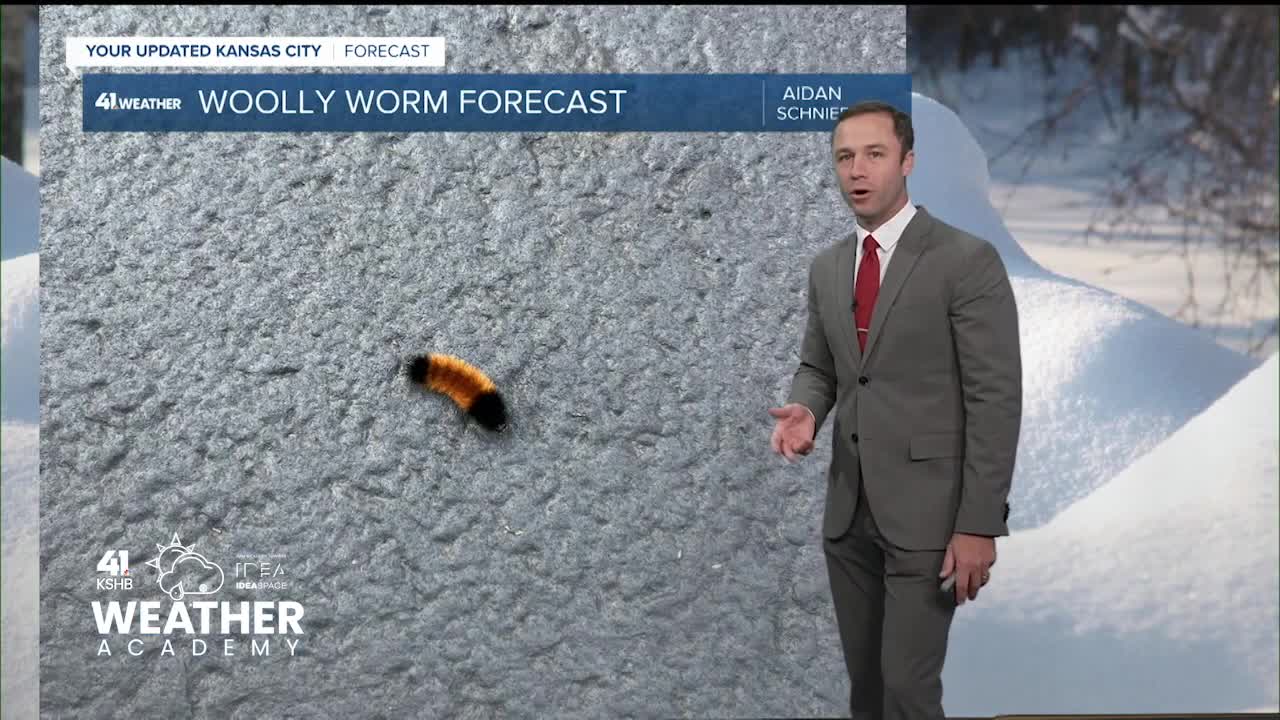 Can wolly worms predict winter? | KSHB 41 Weather Academy