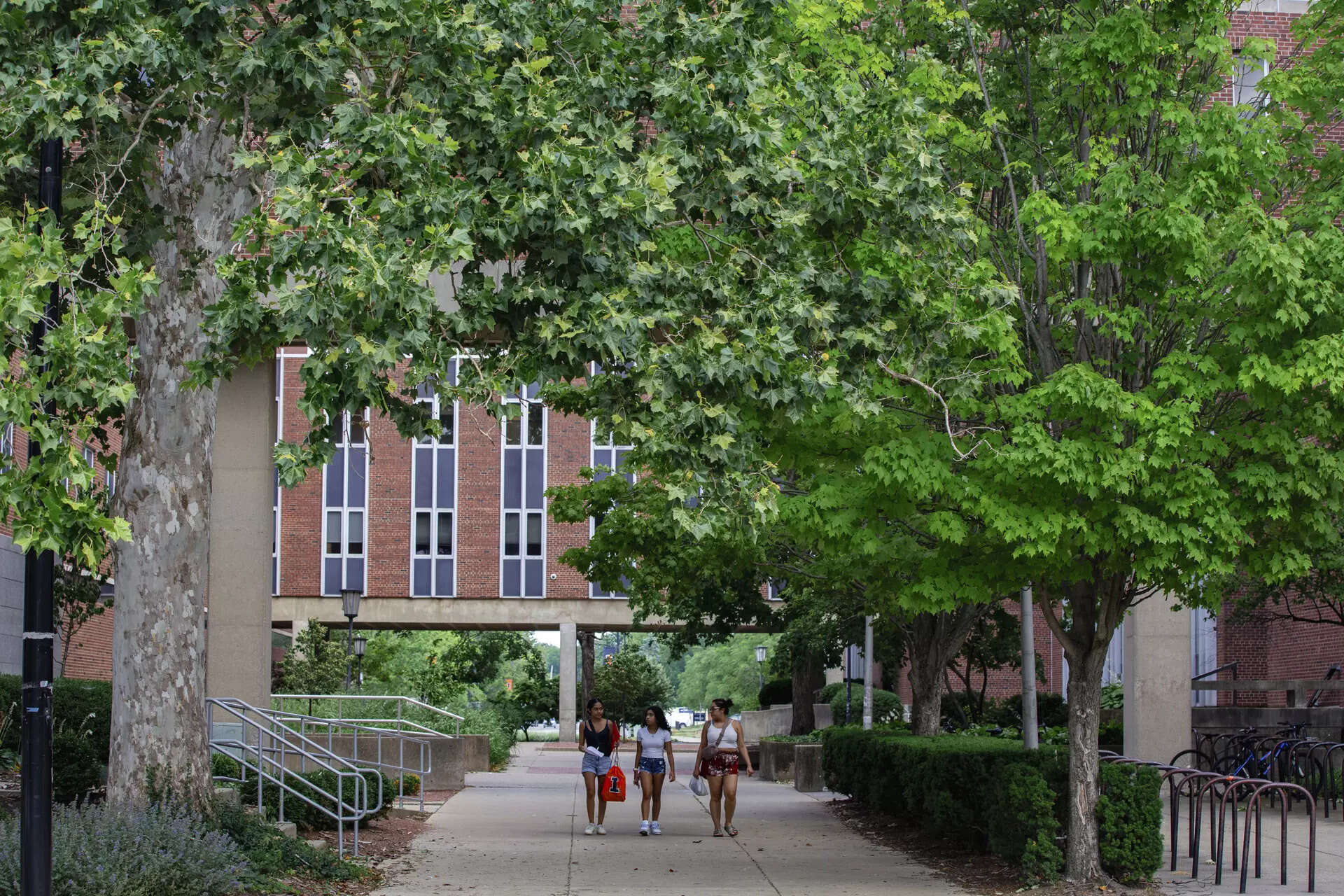 Their professors caught them cheating. They used AI to apologise.