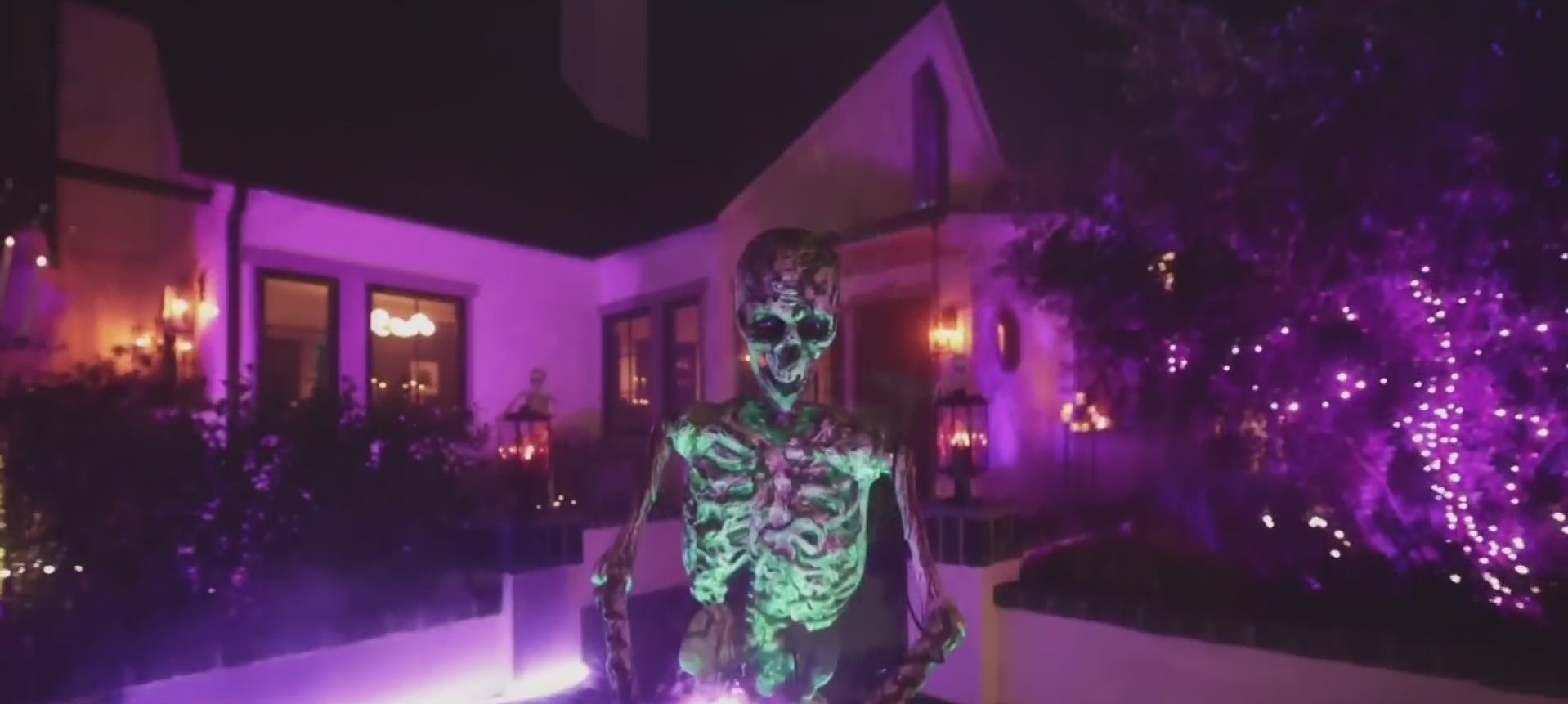 Where the Neighborhood Howls | Toluca Lake