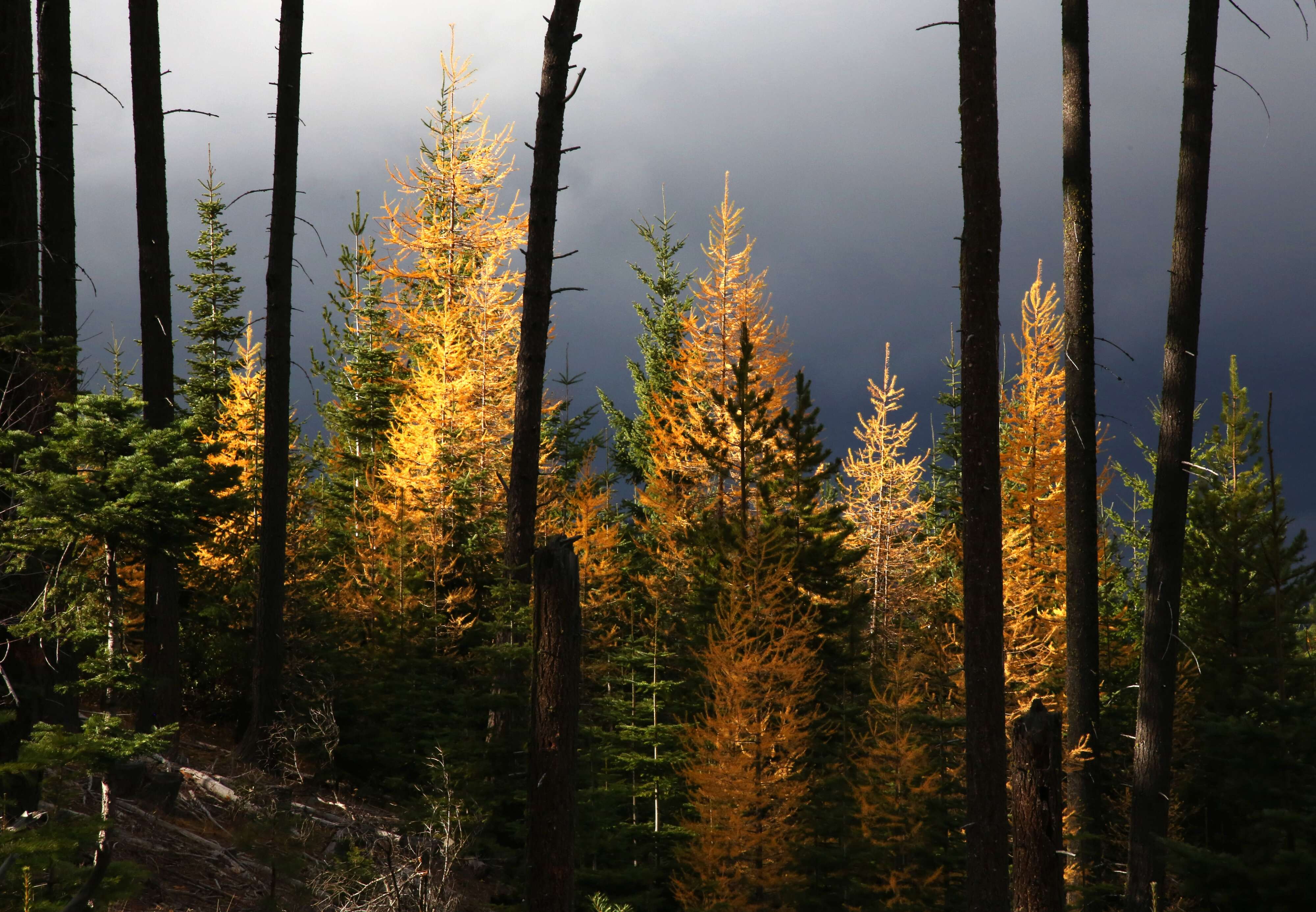 Why fall might be the best season for Mount Hood adventures