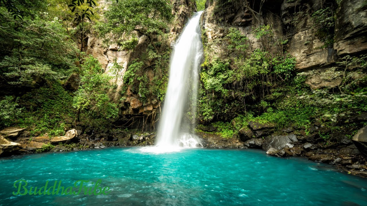 Mesmerizing fluid art: Ink in water for relaxation & meditation ...