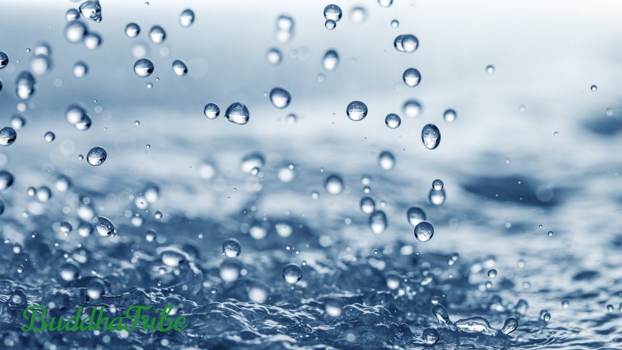 Soothing rain on green leaves • Calming nature sounds for relaxation ...