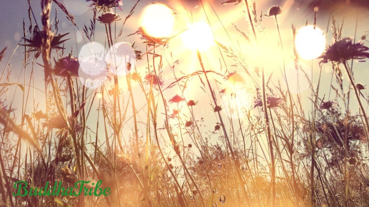 Serene nature meditation: Relax to peaceful music & calming scenes ...