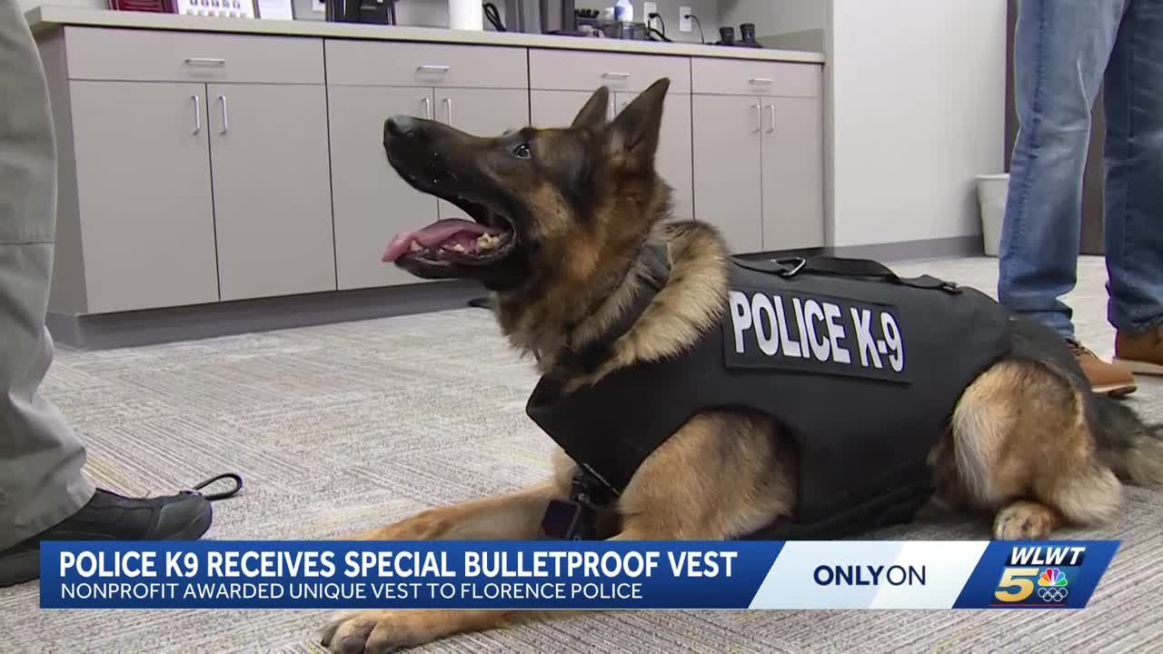Florence Police German Shepard K-9's newest 'toy' could save its life