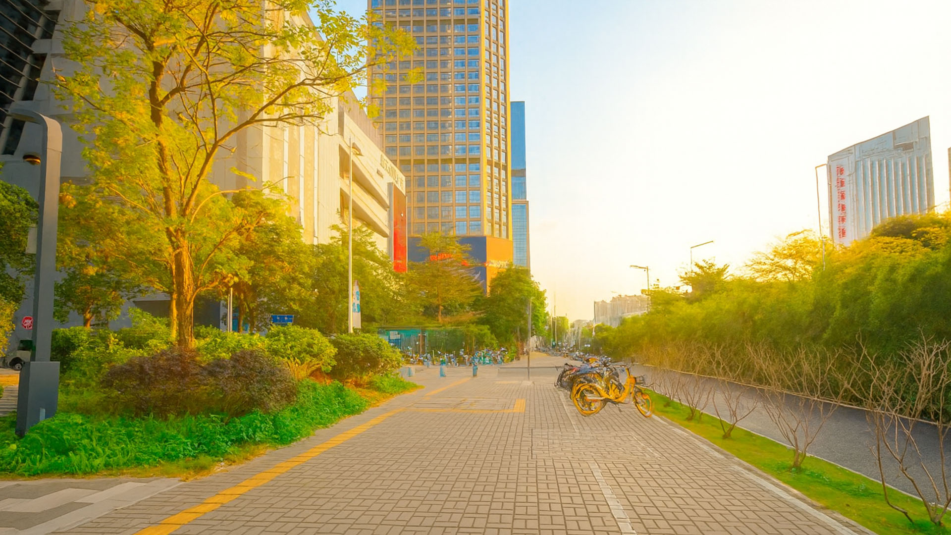 Golden Hour in a Modern Chinese City