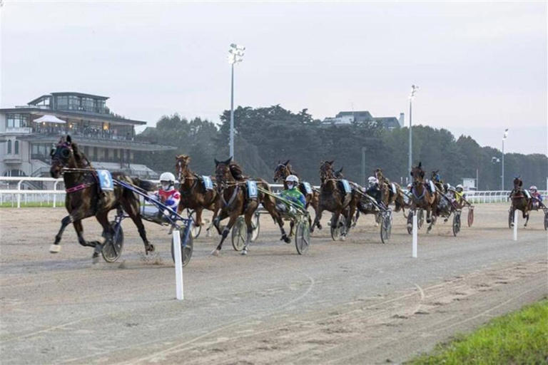 Torna a Milano il 'Gran Premio Orsi Mangelli', in programma il I ...