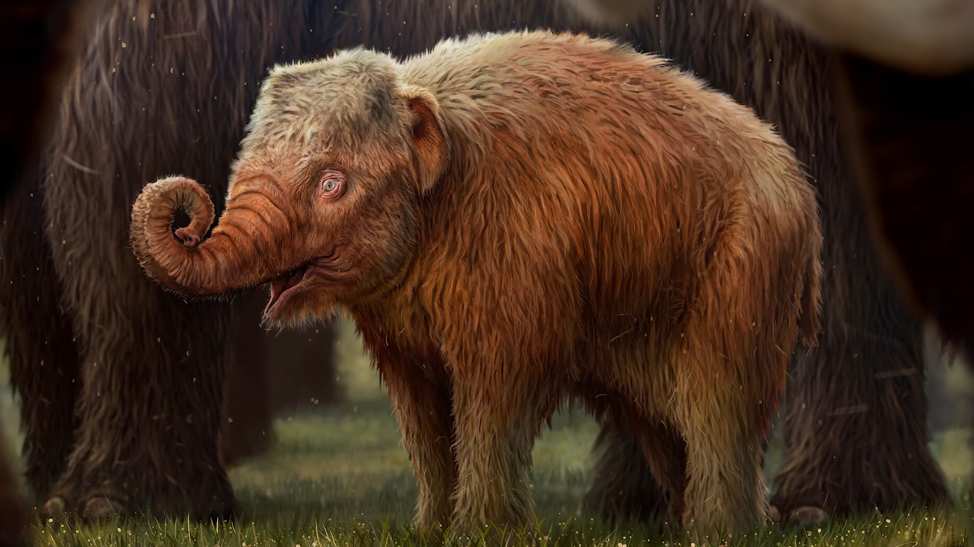What killed off the woolly mammoth