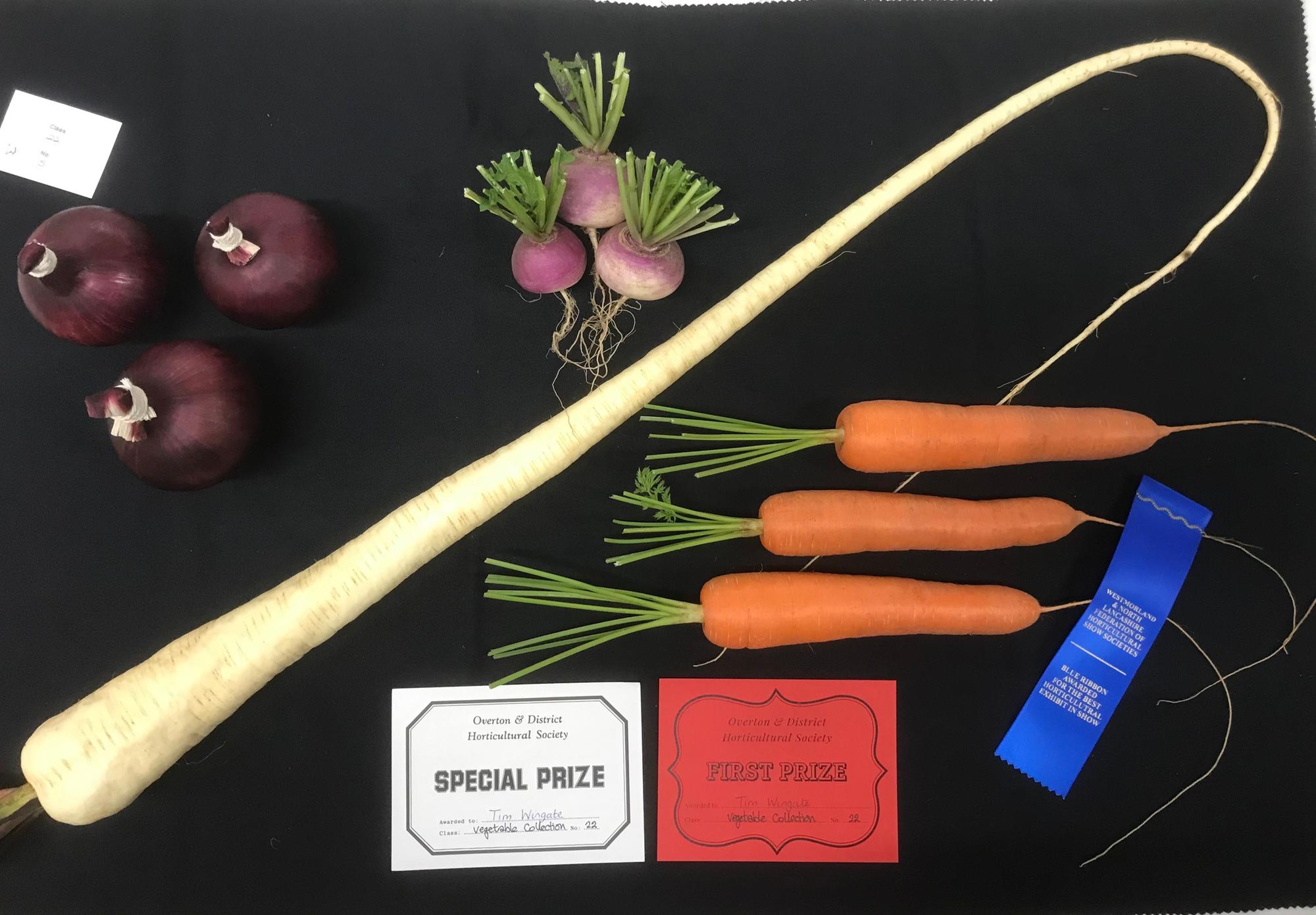 Best autumn show this year says judge at Overton