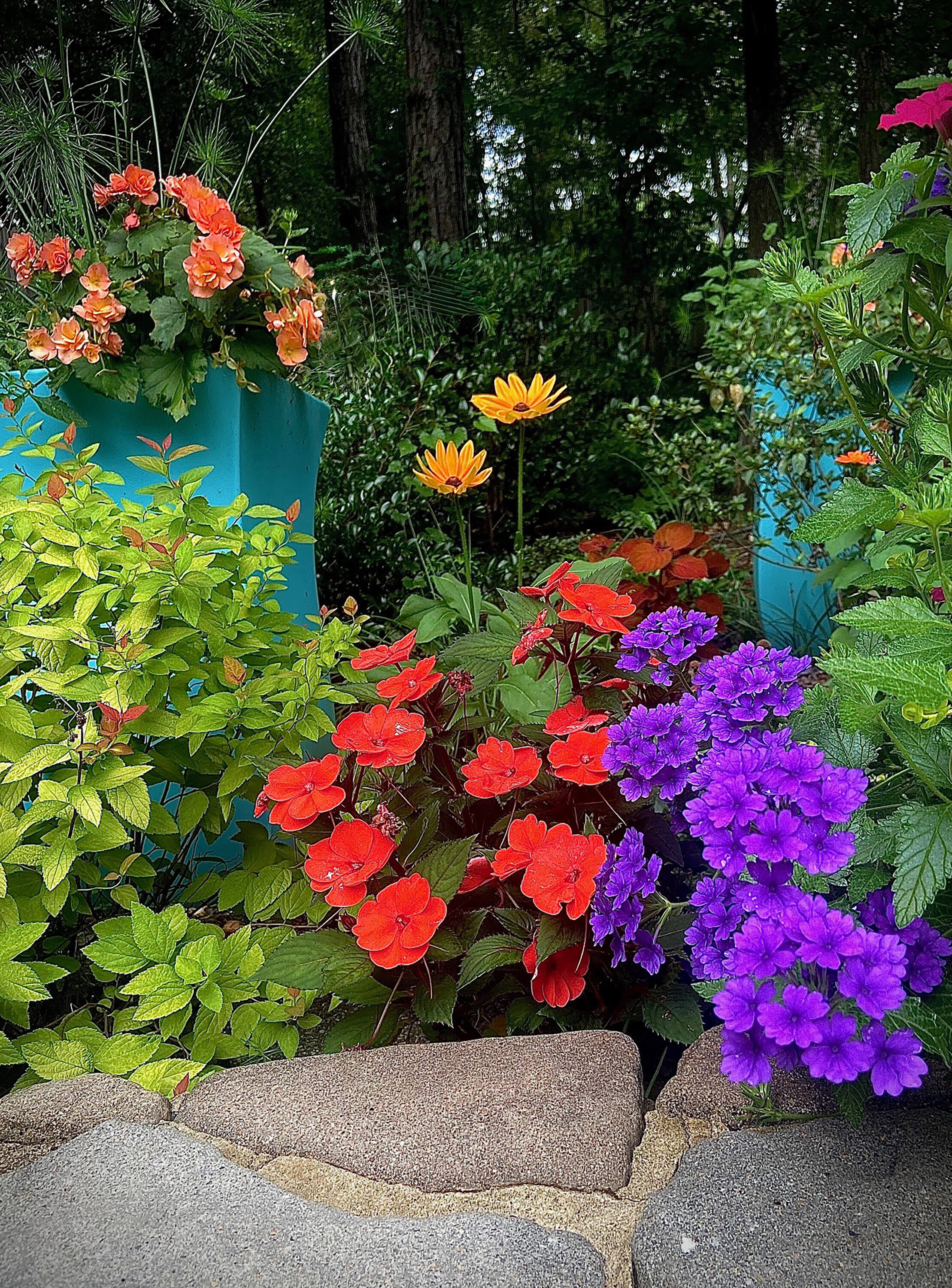 On Gardening: Double Play Candy Corn is a shrub for all reasons