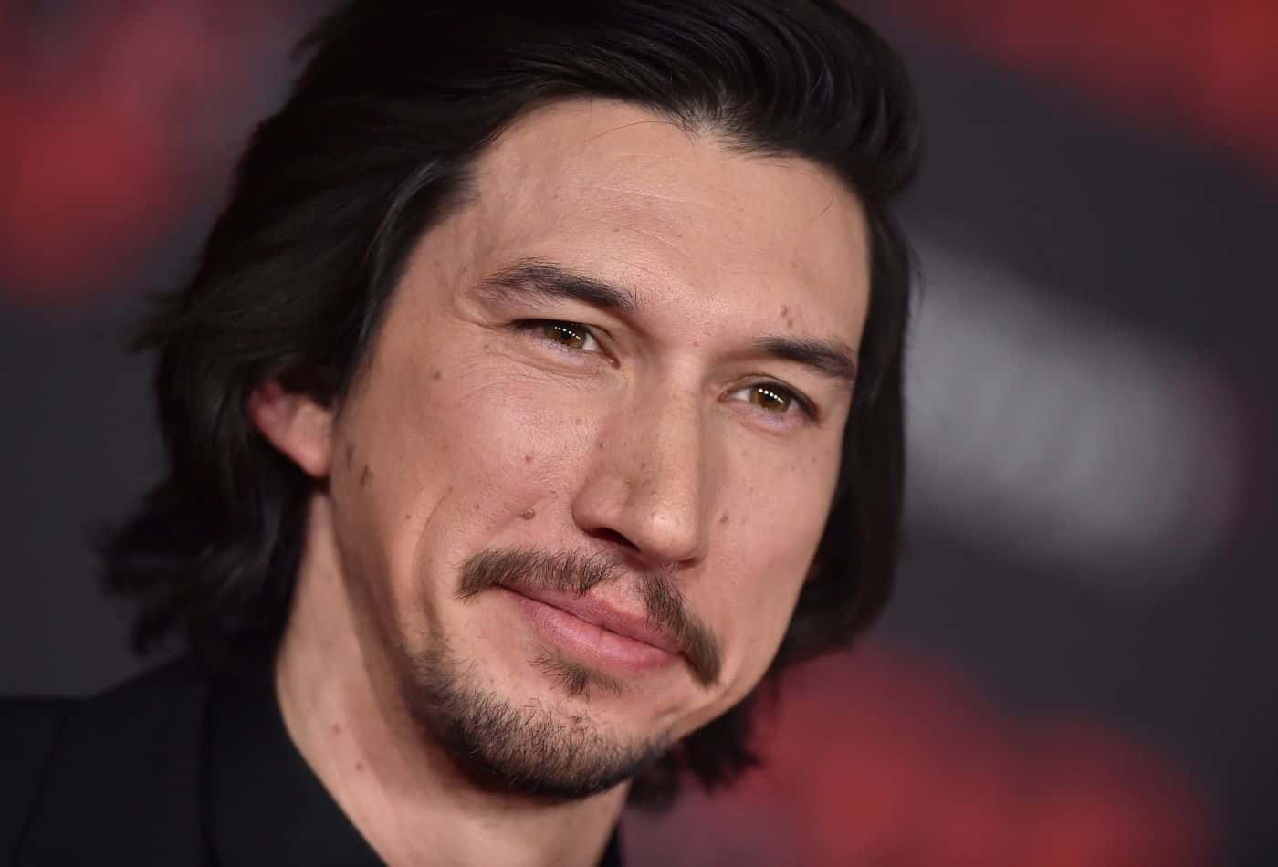 Rabbit Rabbit | Adam Driver to star in new series from director of ...