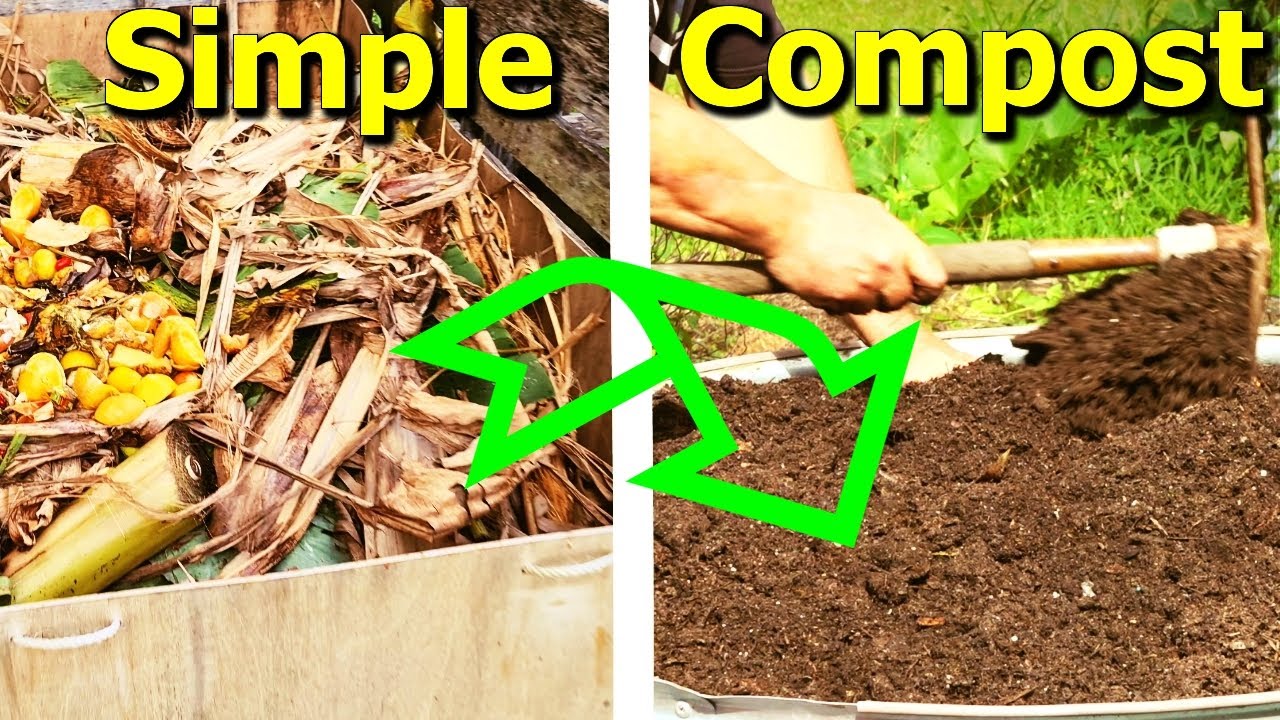 5 commonly asked composting questions to make compost for the garden