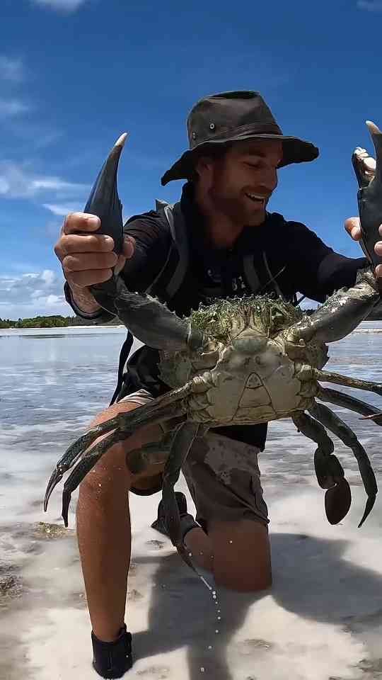 The Ocean’s Hidden Predator - Barehanded Mudcrab Catch & Cook