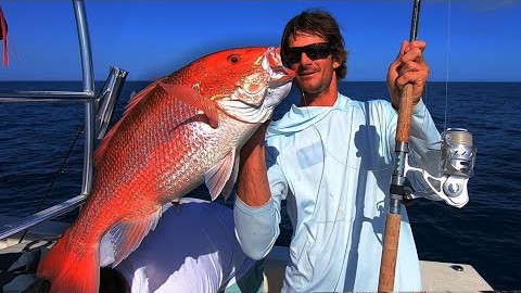 Don’t get caught with this fish - offshore fishing gone wrong