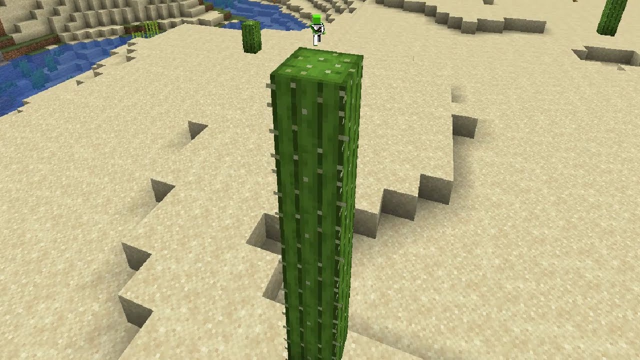 Minecraft Cactus Speedrun POV