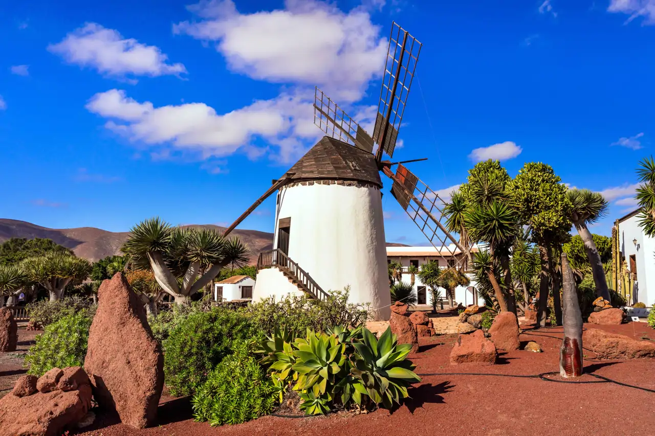 El pueblo de Canarias con seis molinos monumentales (y mucho más)