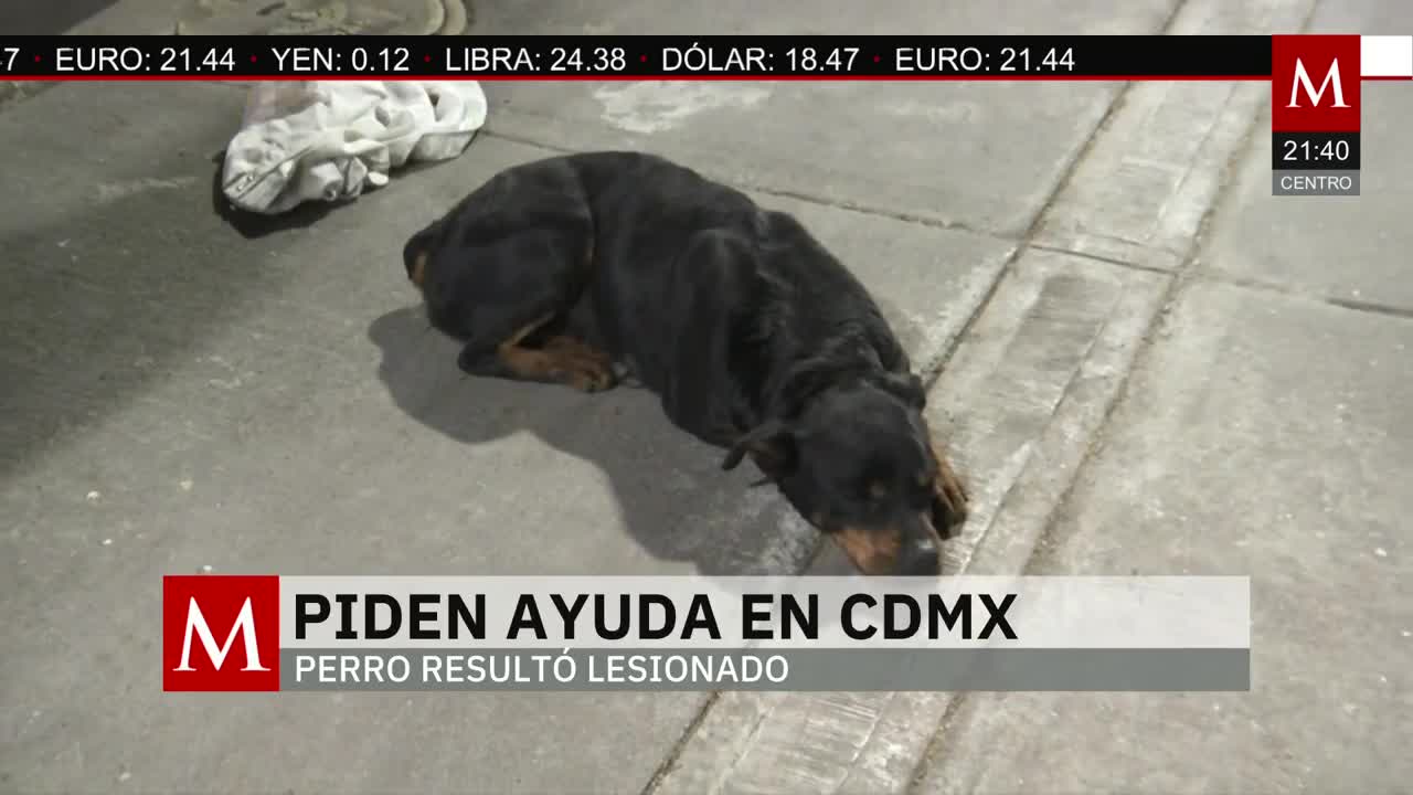 En CdMx, cierran Calzada de Guadalupe tras 12 horas sin ayuda por un ...