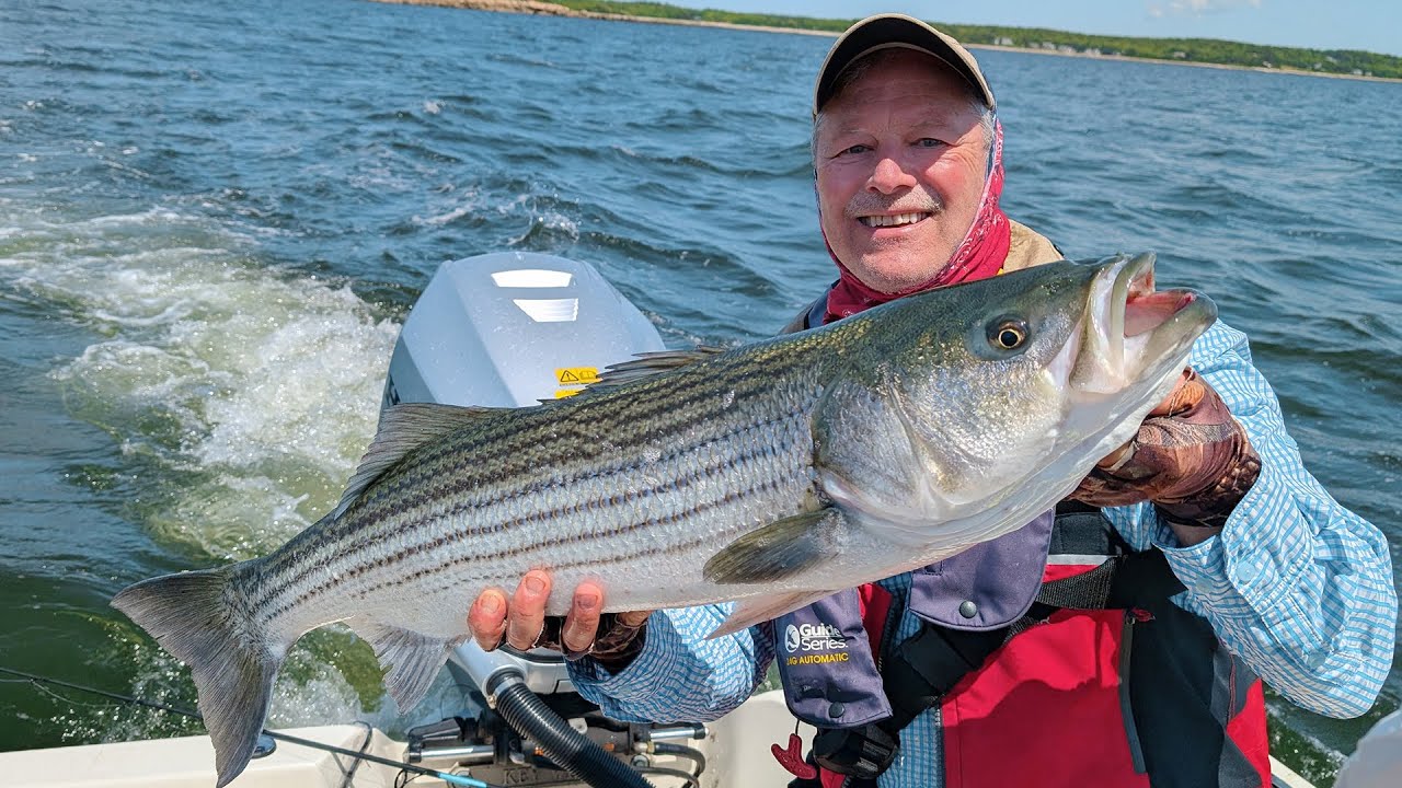 Tipping Top water lures for more Striper action