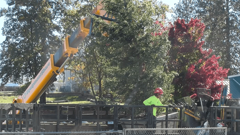 Hope Plaza memorial nears opening with symbolic tree installation