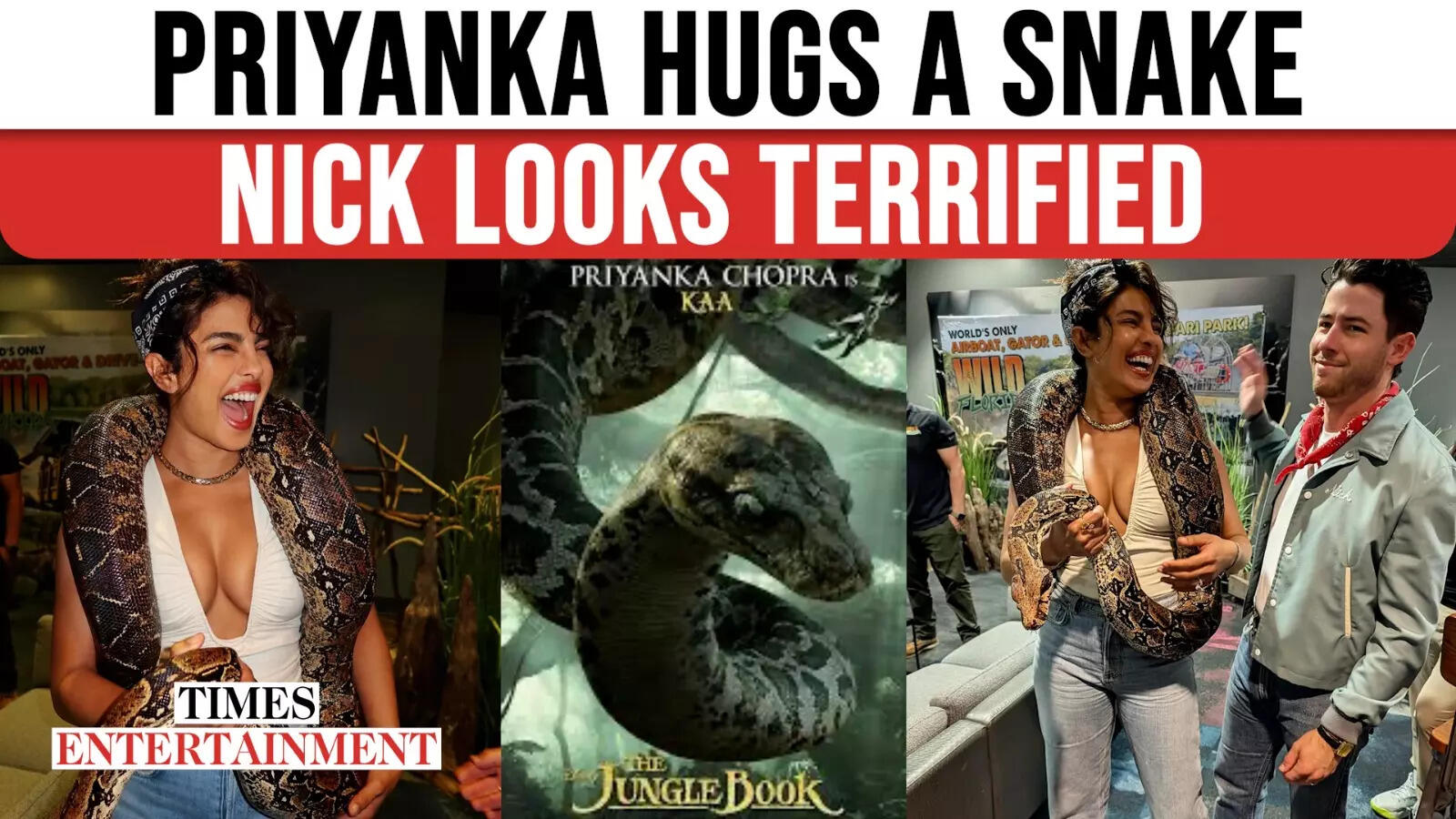 Priyanka Chopra Poses With Python In Throwback Photos!