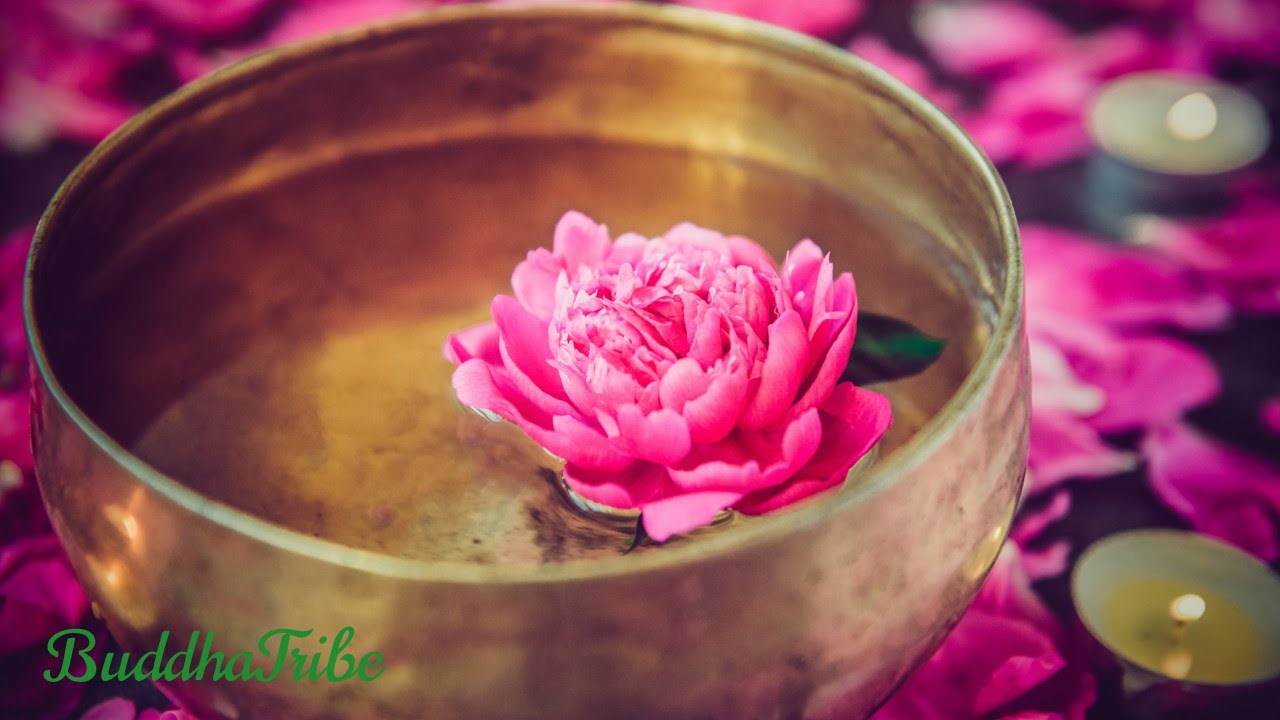 Peaceful flower meditation: Relaxing music & serene floral scenes for ...