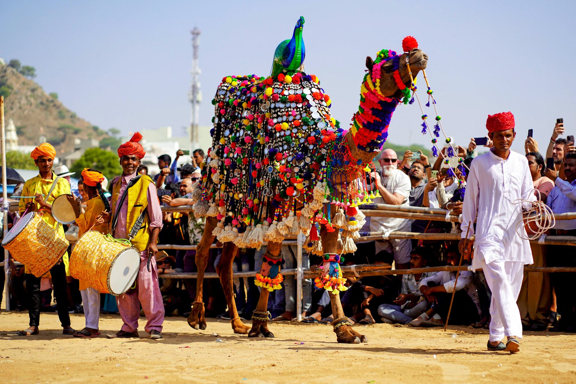 Pushkar Camel Fair: Things you might not know!