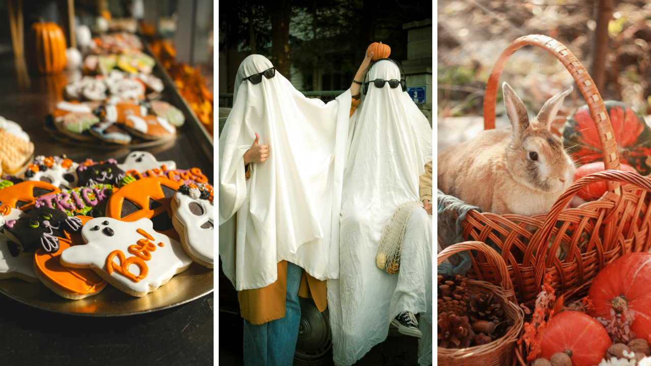 The Rise Of Cosy Halloween: Why Adults Are Swapping Parties for Movie ...