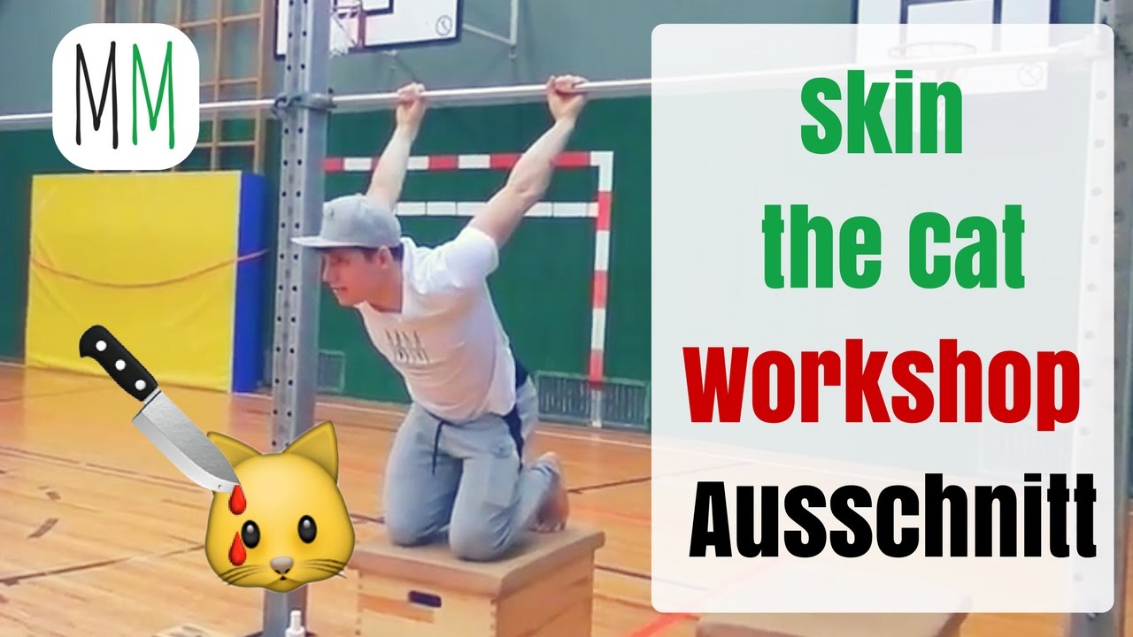 Die WICHTIGSTE Schulterübung (die Du nicht machst) | Skin the Cat ...