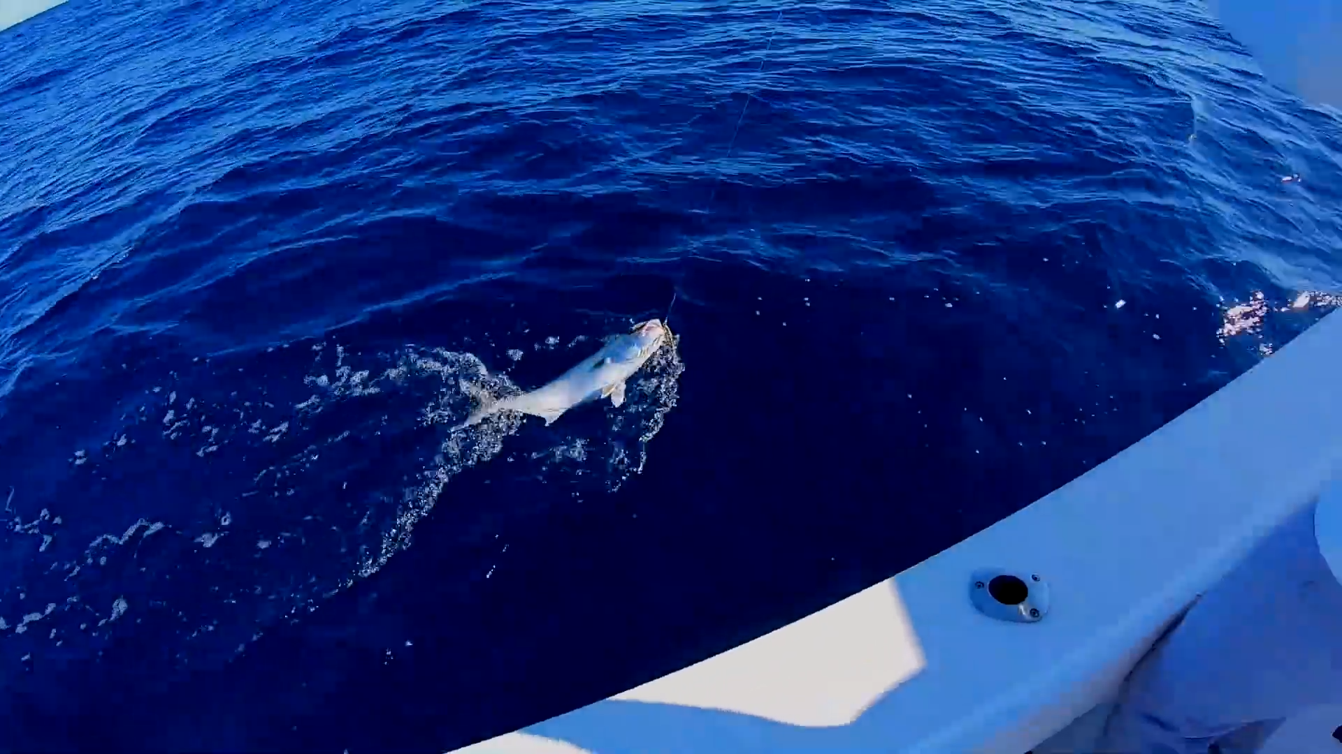 Jig fishing the reef - hooked into absolute power