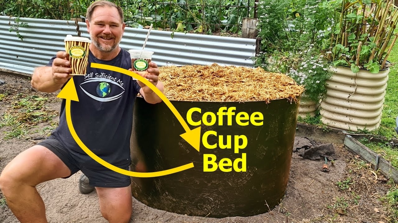 Raised garden bed made from coffee cups