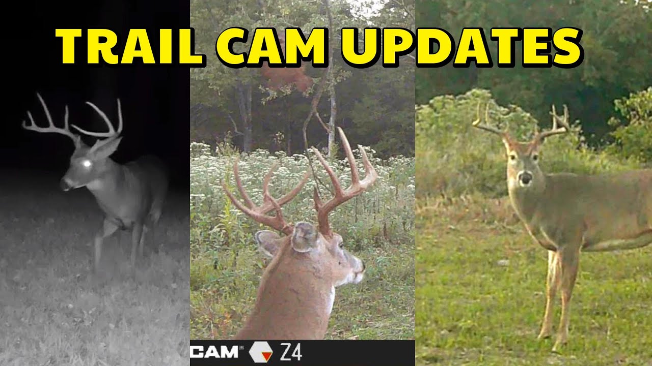 Biggest Bucks of 2025! 10-Point Deer Steals the Show