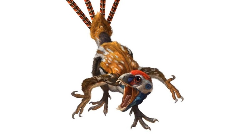 One Of The Smallest Dinosaurs To Ever Exist Had An Unusual Feature