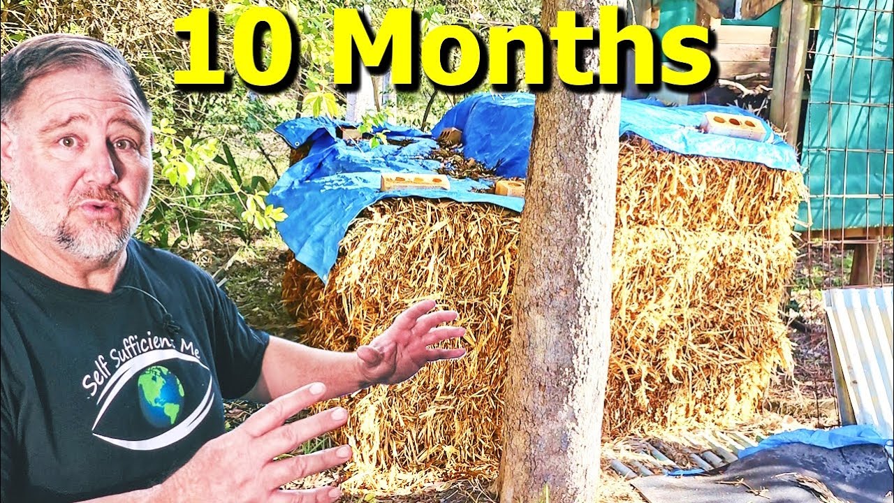 What happens to bales of straw/cane if you just leave them?