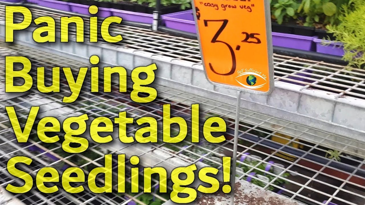 Empty shelves at the nursery! Why panic buying is a good sign