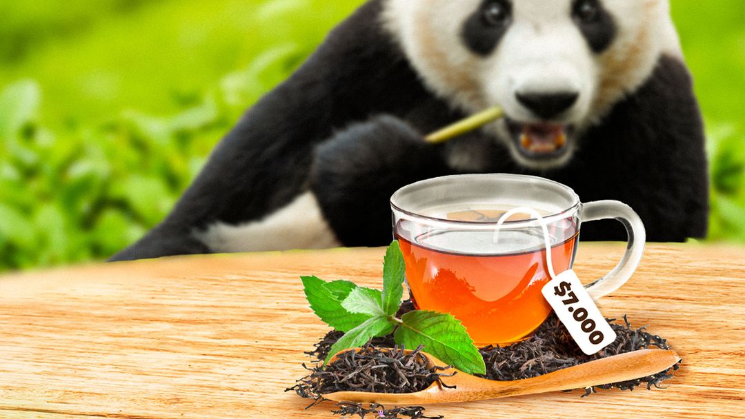Top 5 Most Expensive Teas