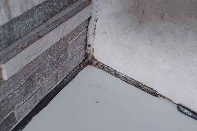 Woman shares genius hack to get rid of black mold in your home in just ...