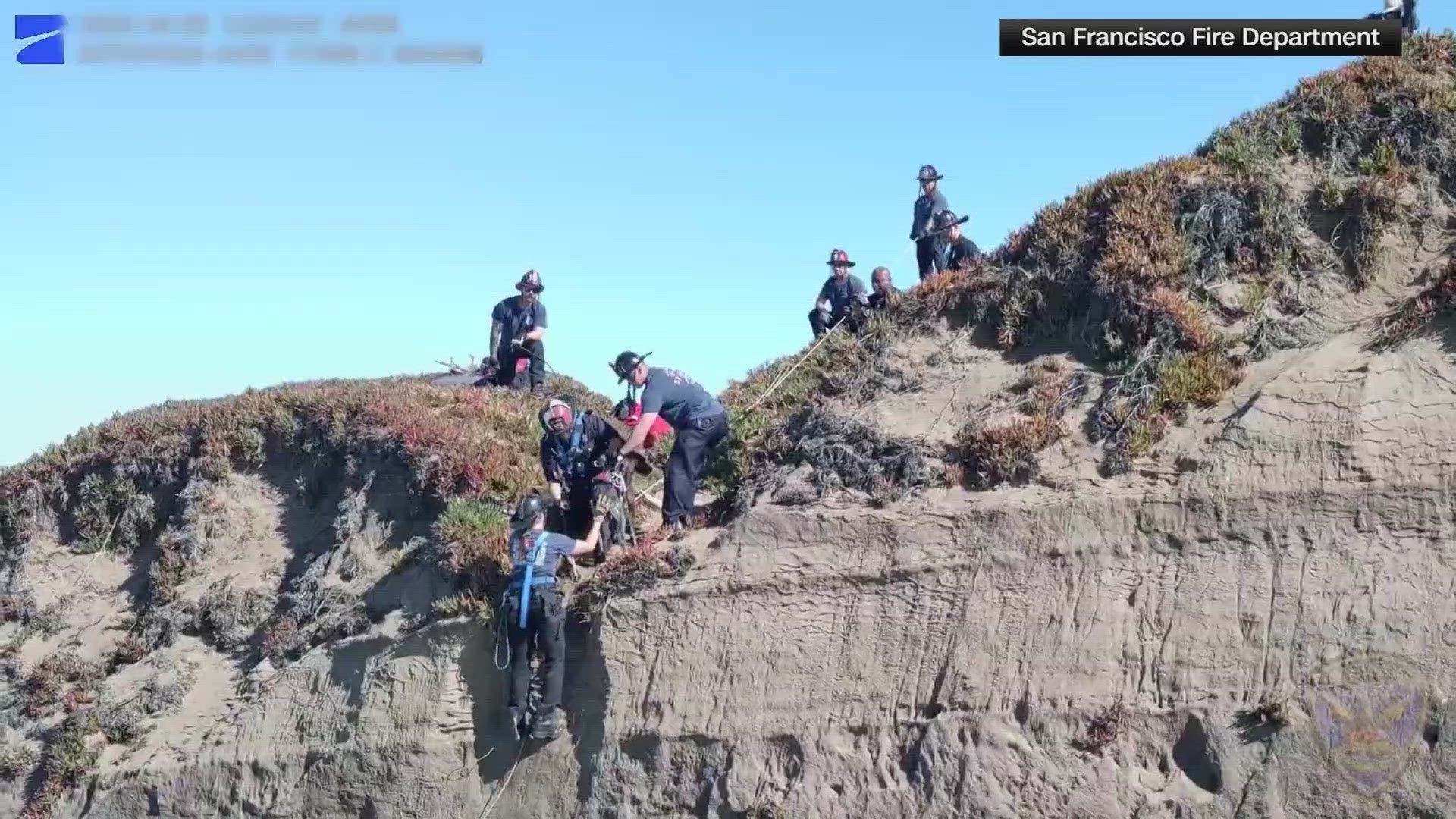 Dog rescued from an oceanside cliff in San Francisco