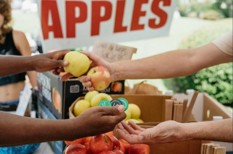 Metro Atlanta food banks brace for SNAP cuts. Here’s where to receive ...